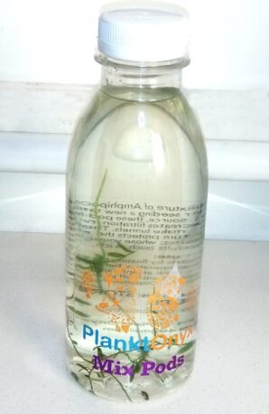 Mix Pods – Live Amphipods & Tisbe Copepods for Reef Tank Seeding ...